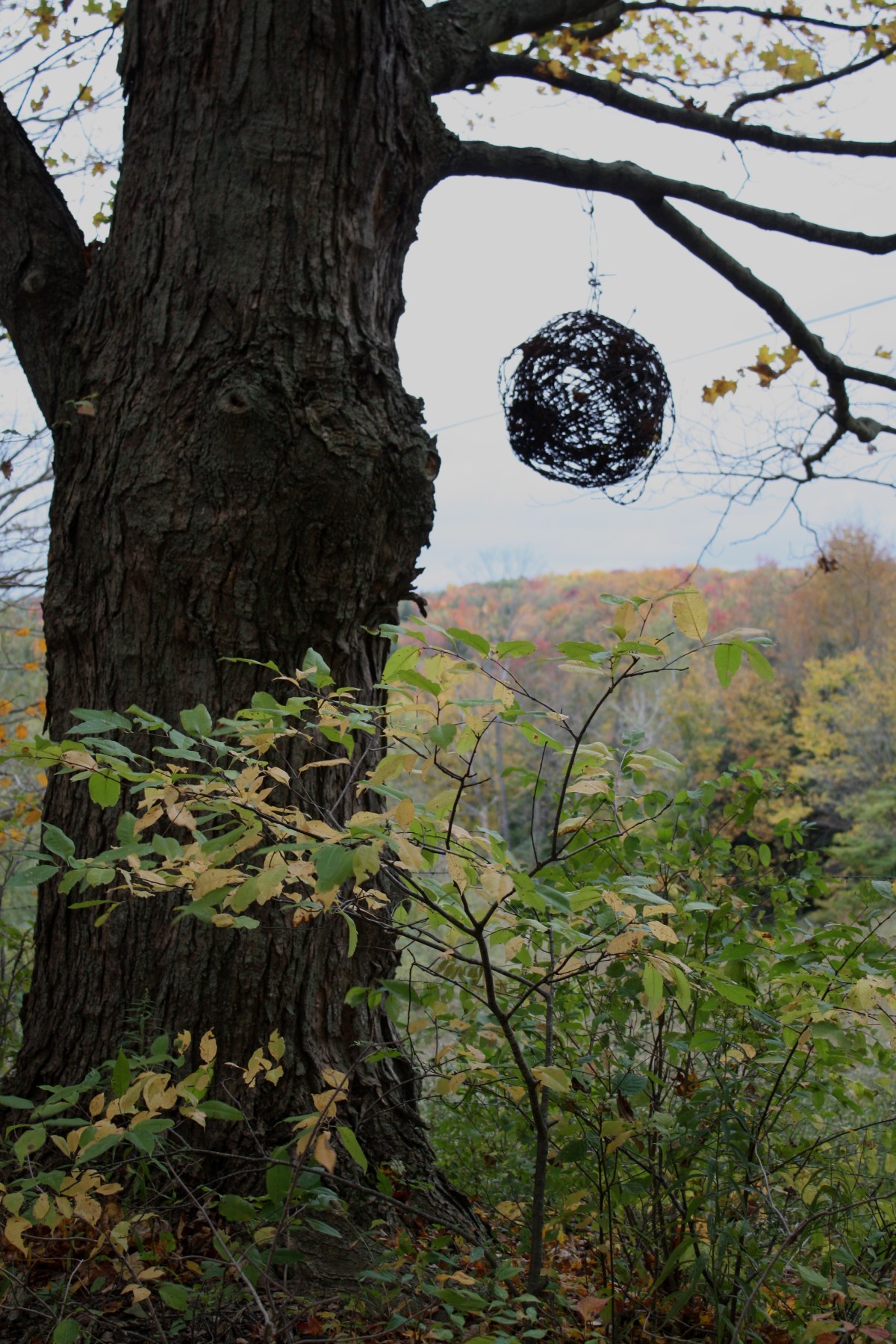 Alex Gillis Discusses Tae Kwon Do and “A Killing Art” with Kung Fu Tea ...