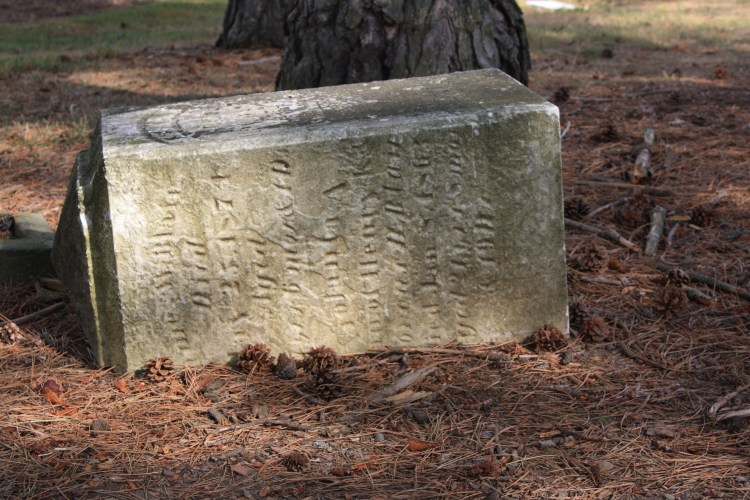 Alex Gillis Discusses Tae Kwon Do and “A Killing Art” with Kung Fu Tea ...