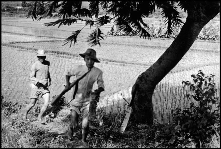 A Social and Visual History of the Dadao: The Chinese “Military Big ...