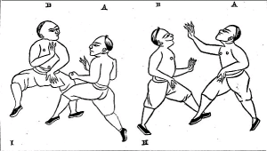 Butterfly Swords and Boxing: Exploring a Lost Southern Chinese Martial ...