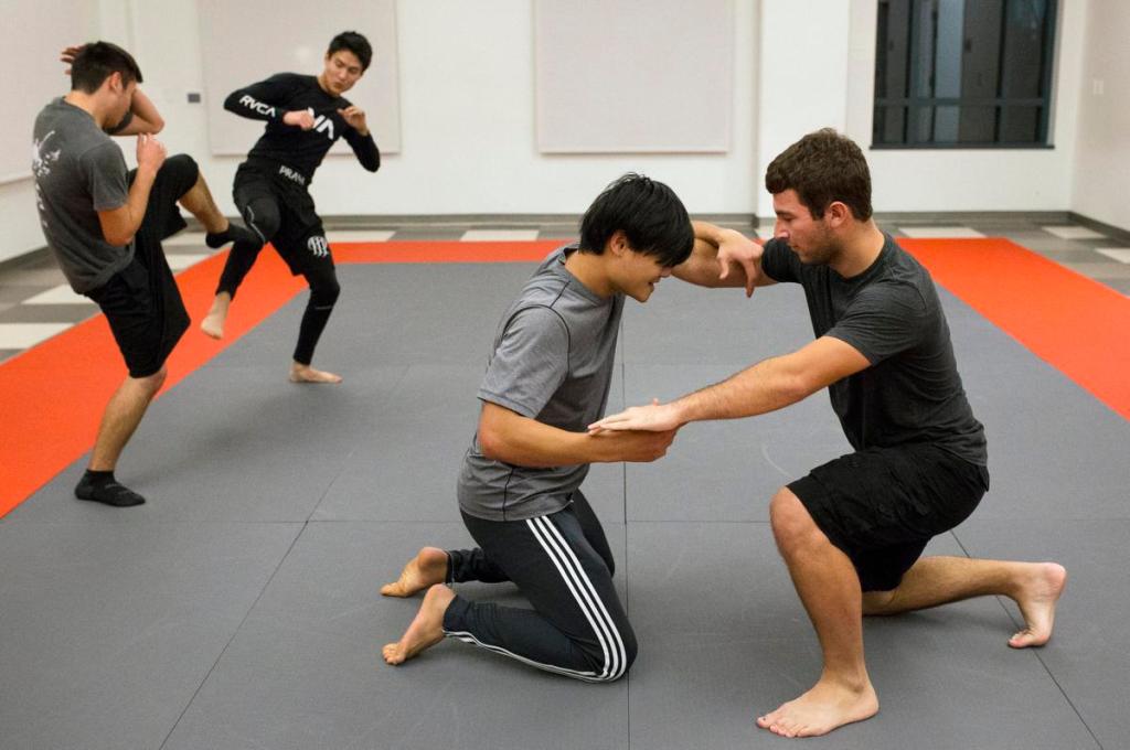 Chinese Martial Arts in the News: February 15th, 2015: The Business of ...